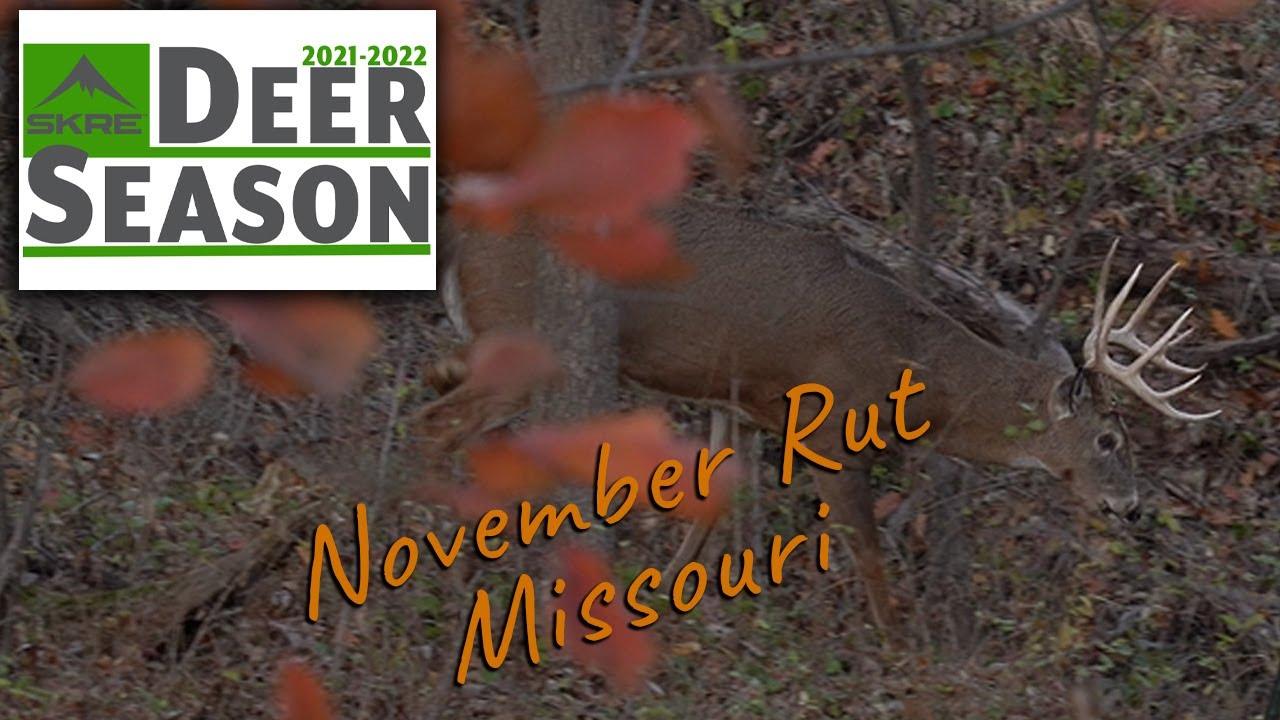 Whitetail Hunting Episode 7 | Missouri Whitetail Rut Hunt | Skre Gear